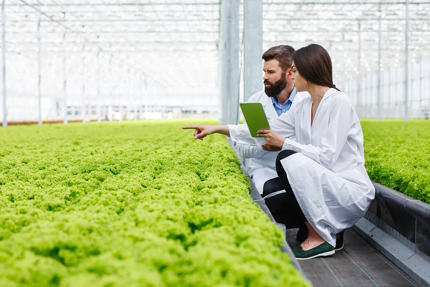 Cultivate Your Future: Guide to Agricultural Science Degrees in Australia